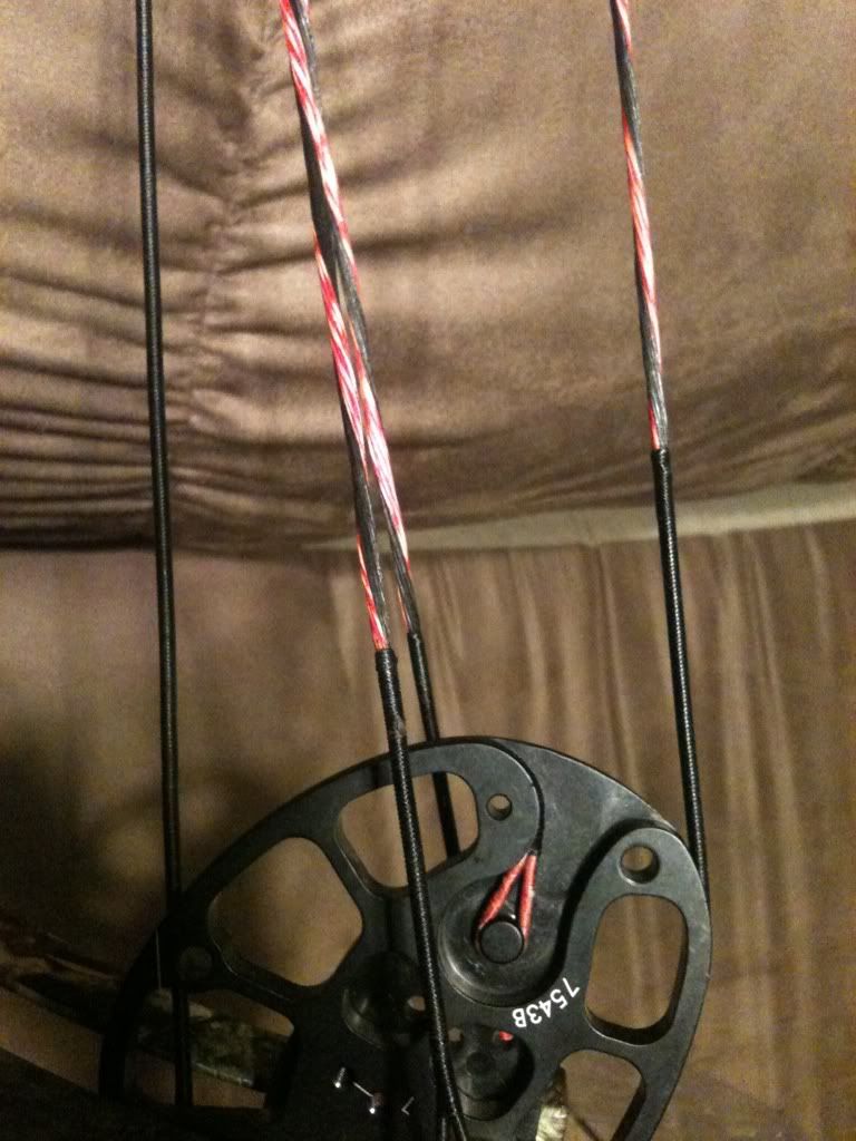 Review On Proline Bowstrings Archery Talk Forum